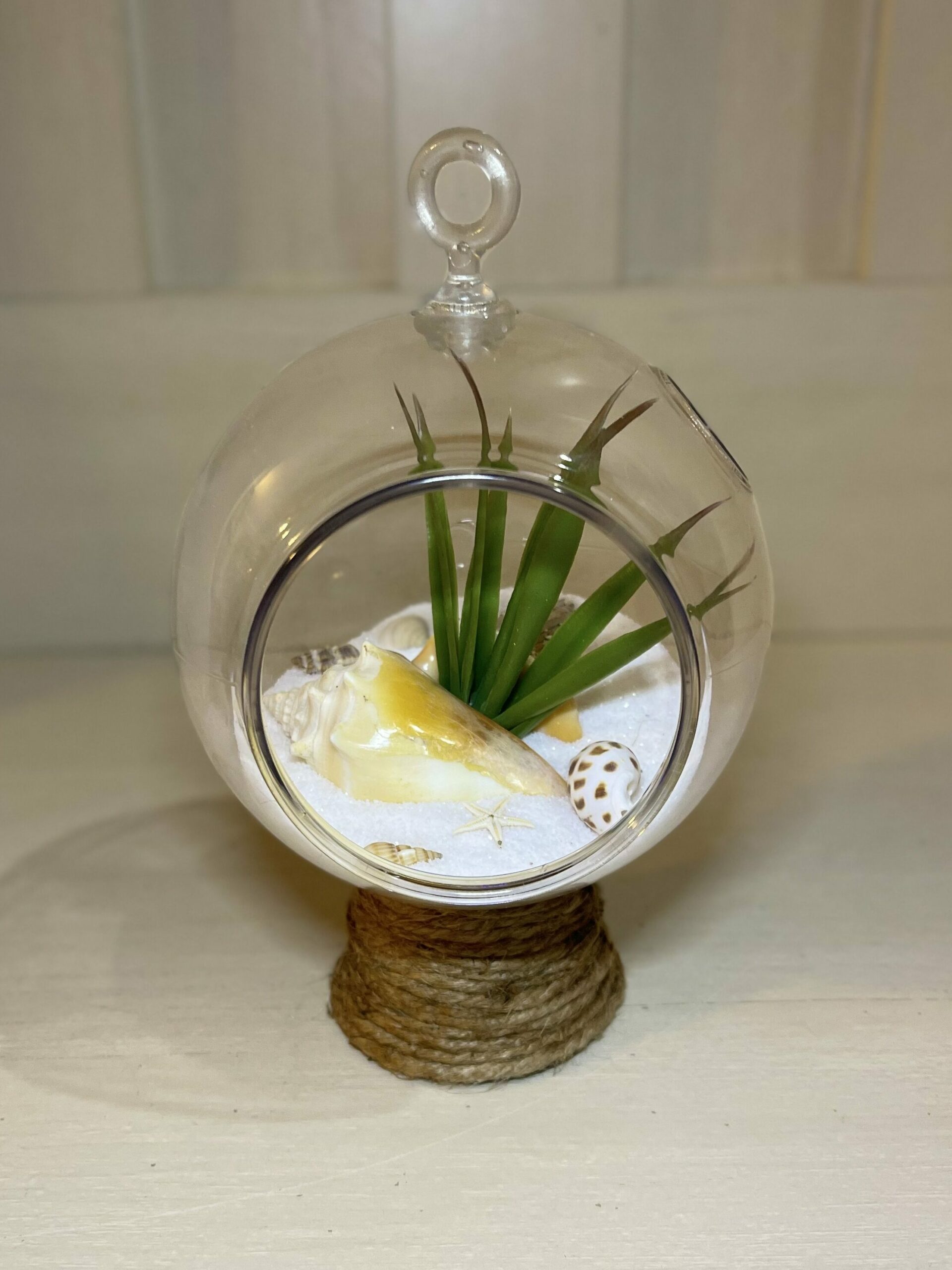 15 Gorgeous BEACH Terrarium Dollar Tree DIYs - Crafty Beach