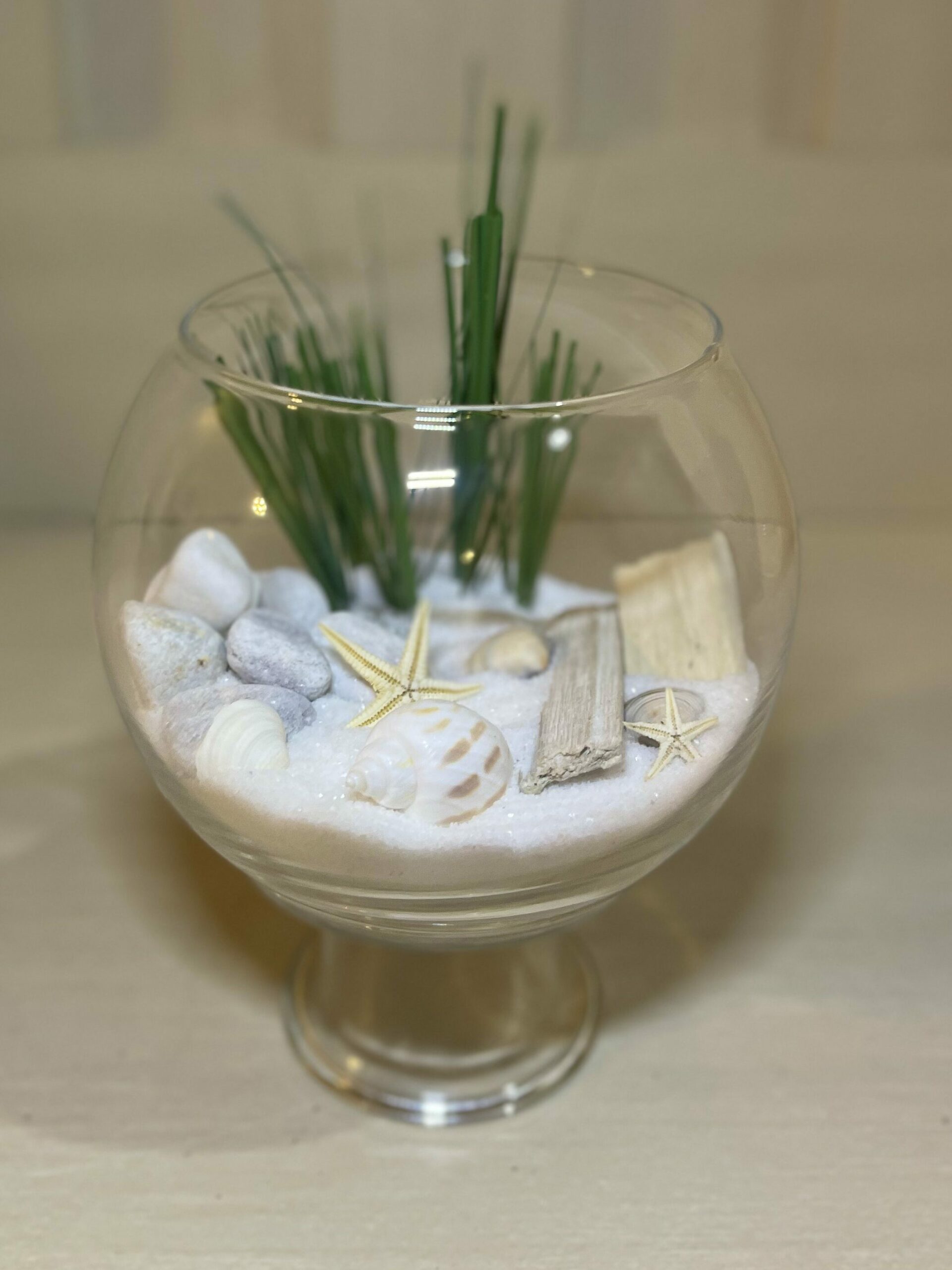 15 Gorgeous BEACH Terrarium Dollar Tree DIYs - Crafty Beach