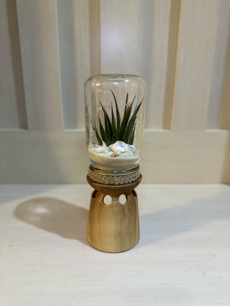 15 Gorgeous BEACH Terrarium Dollar Tree DIYs - Crafty Beach