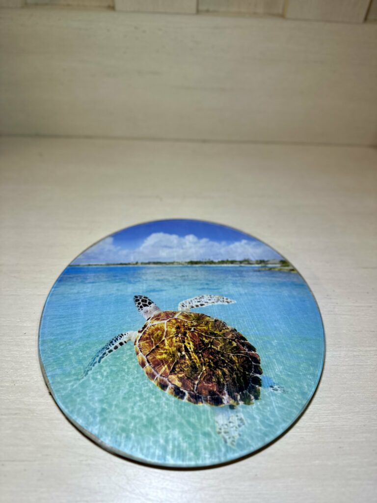 Paradise Found! 15 COASTAL Dollar Tree DIYS - Crafty Beach